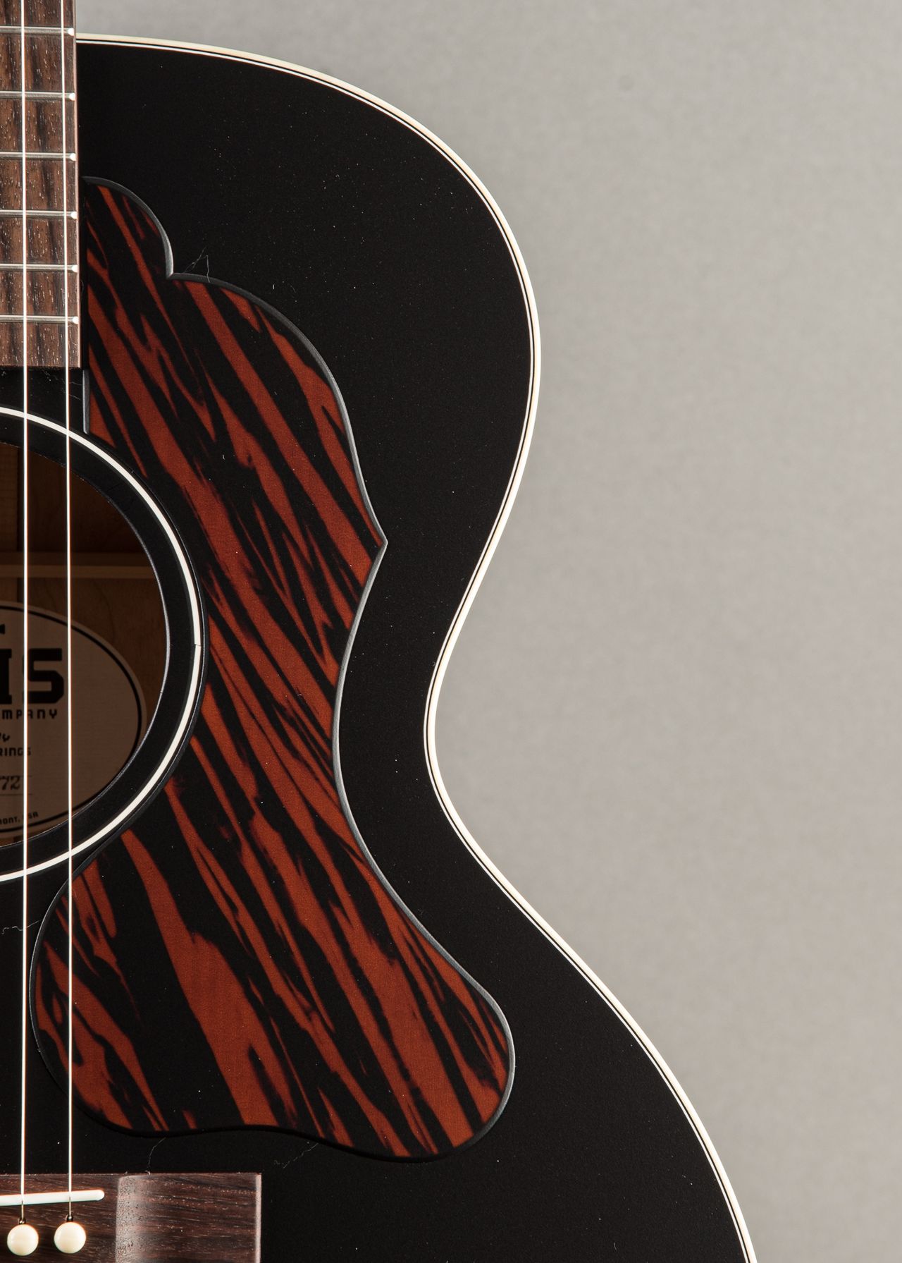 Guitarra Iris Iris Guitar Company DE 11 Dan Erlewine Signature Model