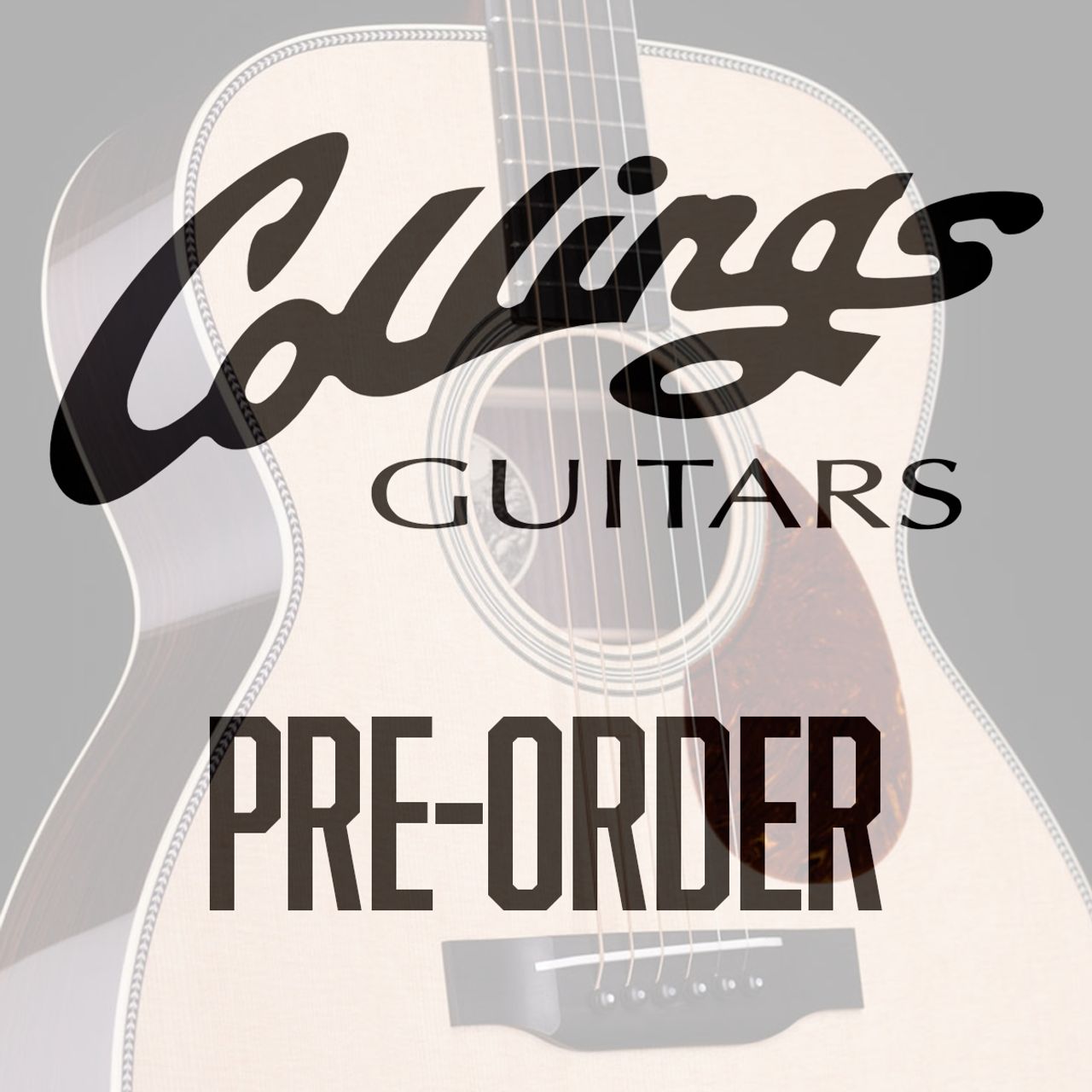Carter Vintage - Collings OM2 E 2025, Natural - PREORDER | Carter ...