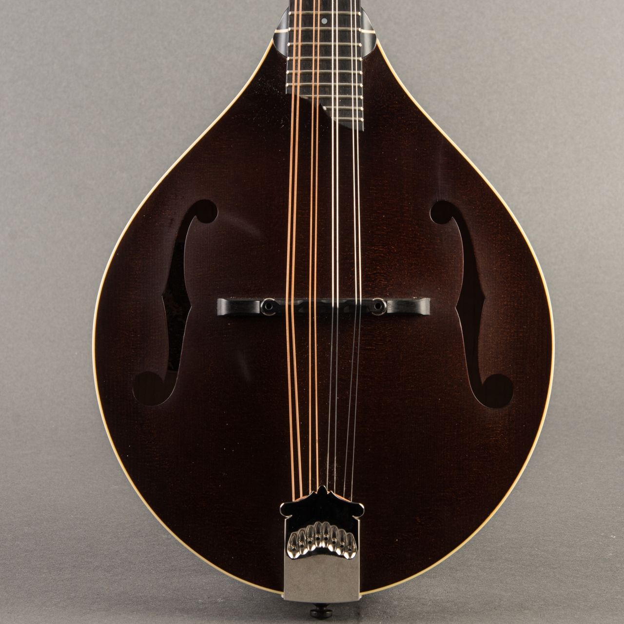 Carter Vintage - Collings MT 2017, Sheraton Brown | Carter Vintage Guitar